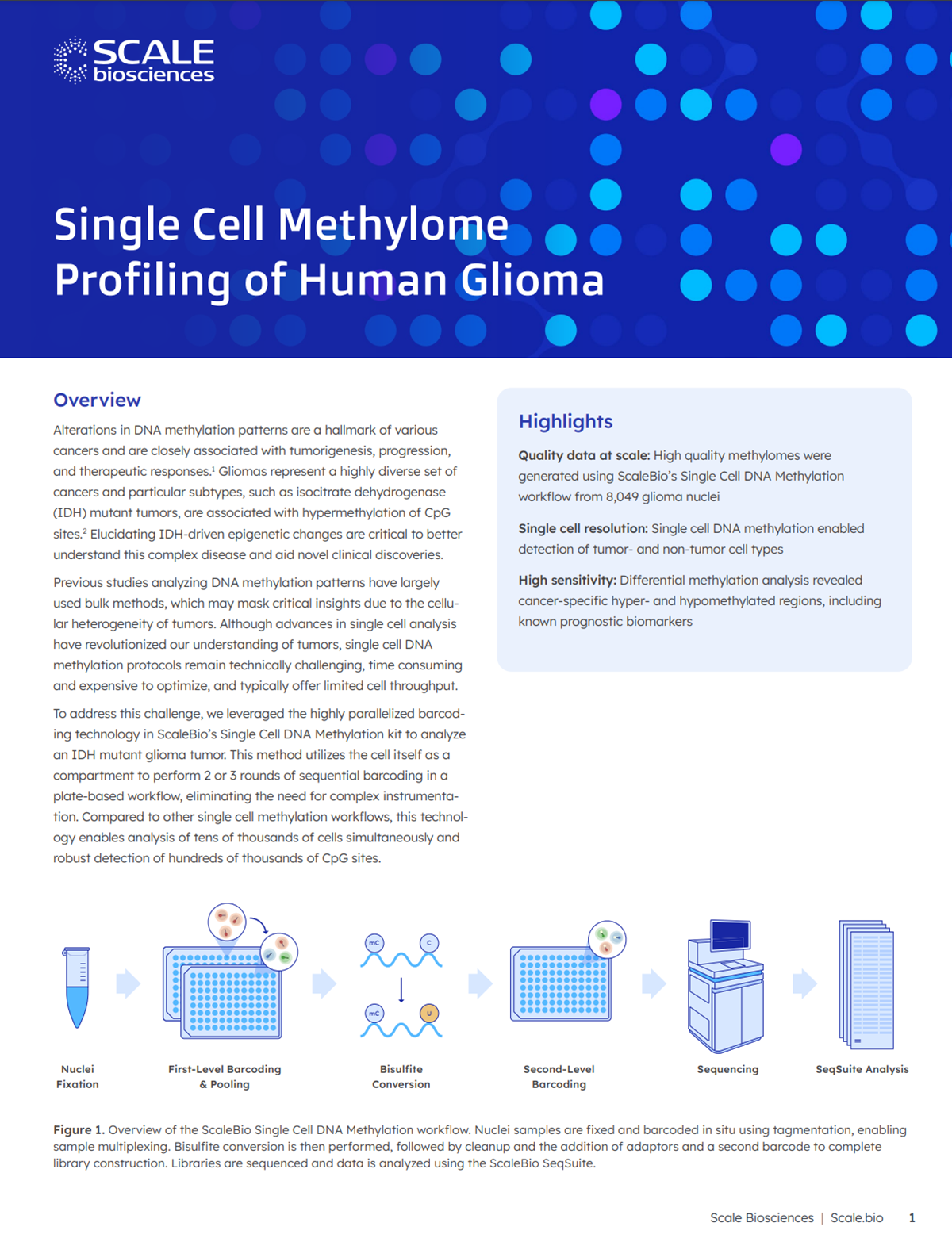 Glioma single cell methylation app note